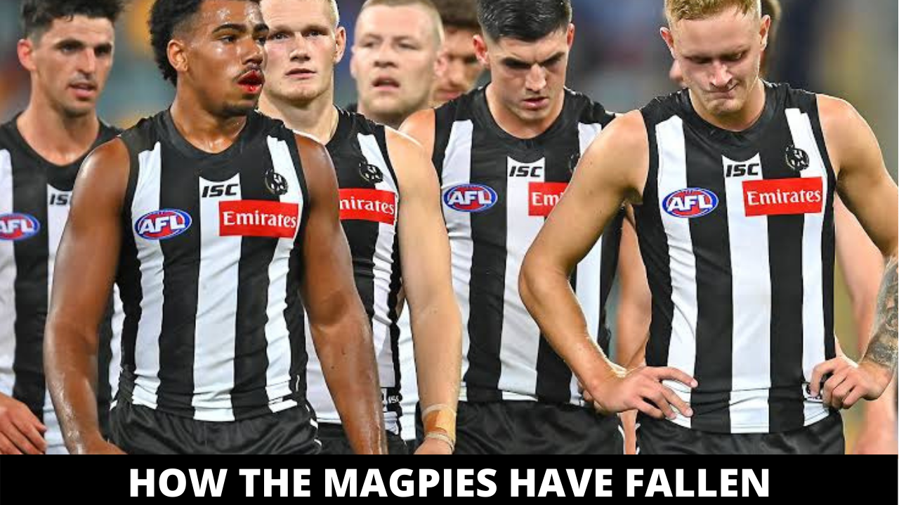 How The Magpies Have Fallen | Editorial - TheInformer